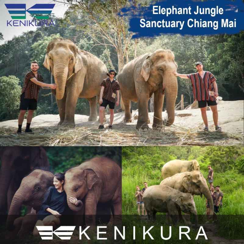 Jual Ticket Elephant Jungle Sanctuary Day Tour from Chiang Mai Thailand - Half Day Adult di ...