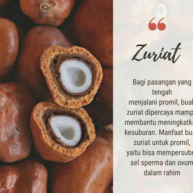 Jual Buah Zuriat Mesir Belah 250gr Isi 4 Buah Di Seller Kurmatasya ...