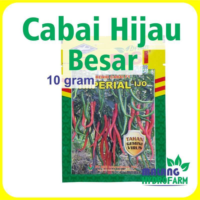 Jual Benih Cabai Hijau Besar Imperial Ijo 10 gram dataran rendah unggul ...