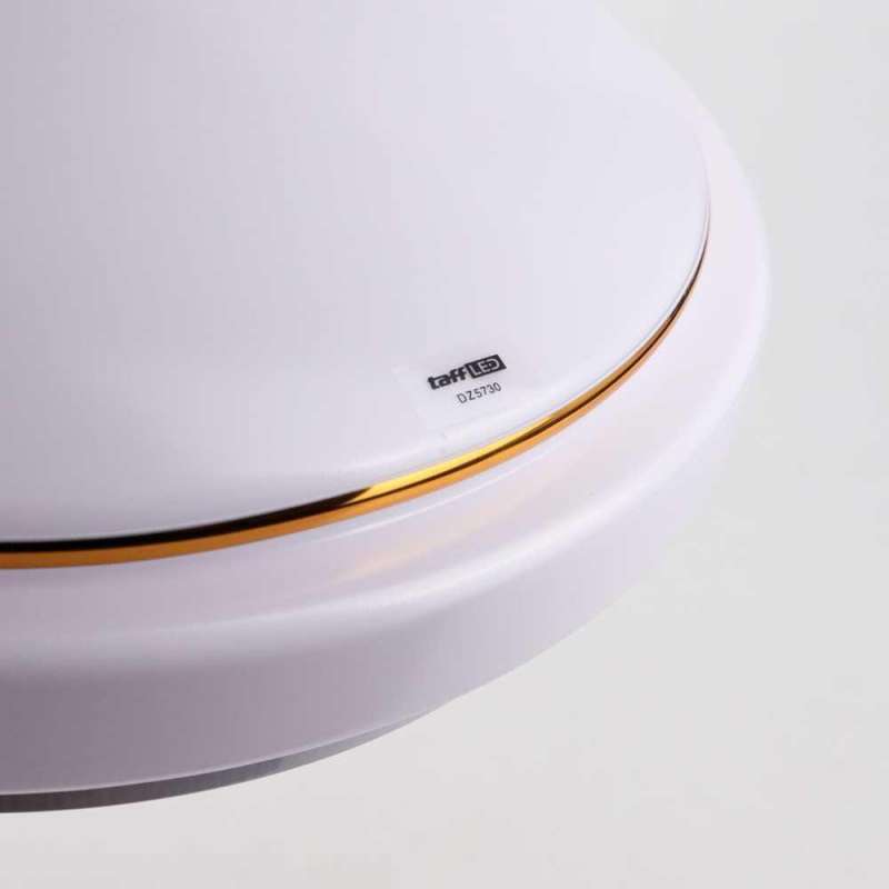 Jual Lampu Plafon Led Modern Ceiling Light Cool White Dz5730 Lampu ...