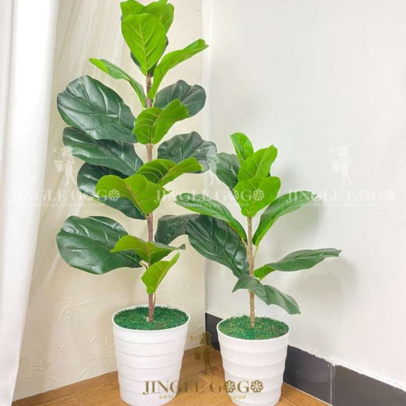 Promo Pohon Ketapang Artificial Biola Rumah Jumbo Daun Latex Real Touch ...
