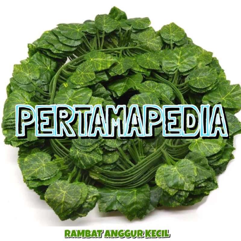 Promo Lusinan Semangka Kecil/daun Rambat/rumput Plastik/busa Bunga ...