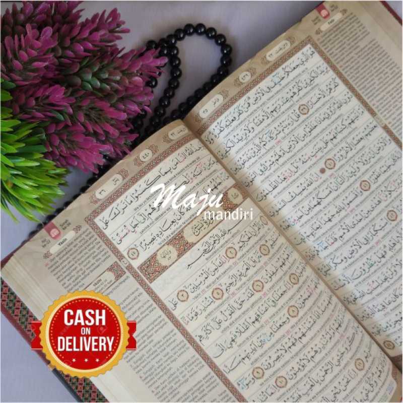 Jual Al Quran Latin Terjemah - Al Quran Tajwid Warna - Alquran ...