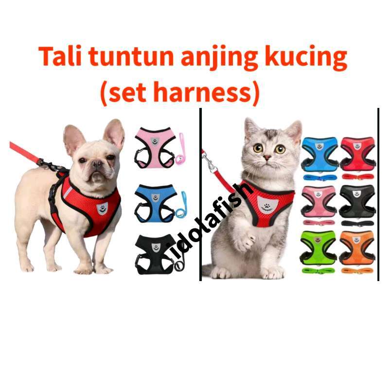 Tali Kucing Rompi Harnes Gratis Ongkir 🏷️ Harga Murah Juni 2026