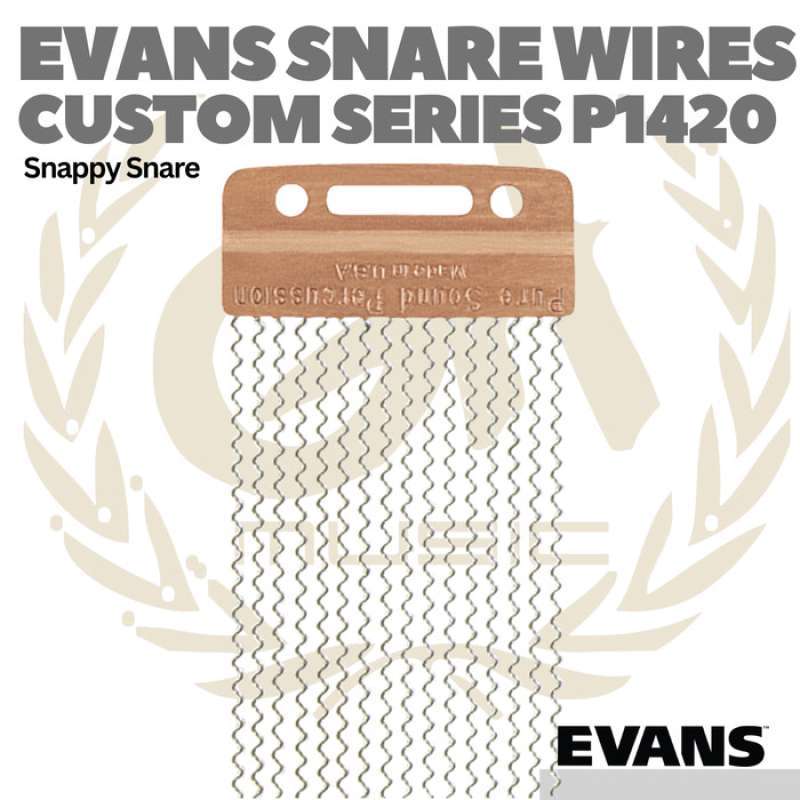 Jual Evans Custom Series 20 Strand Snare Wire - Snappy Drum - 12 Di ...