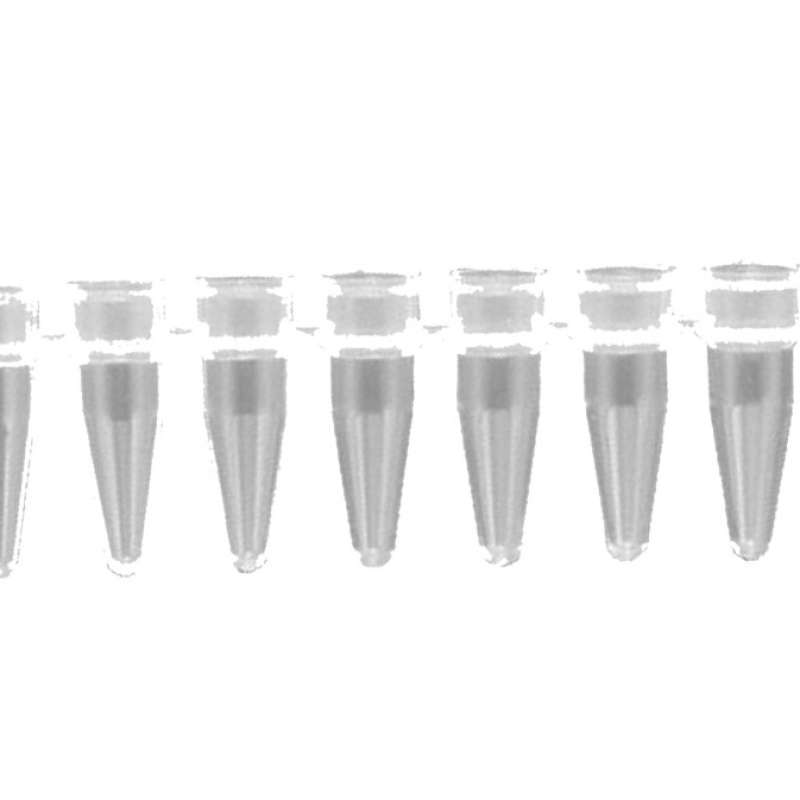 Jual Thin Wall Pcr Tube, 8 Per Strip Cat.pcr-0208-c / Filter Tips Di Seller Gudang7 - Tegal ...