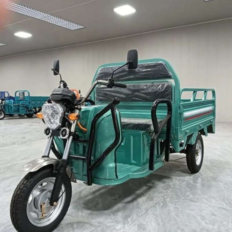 Jual 1000w Motor Electric Van Cargo Tricycle With Wagonthree Wheel Ele ...