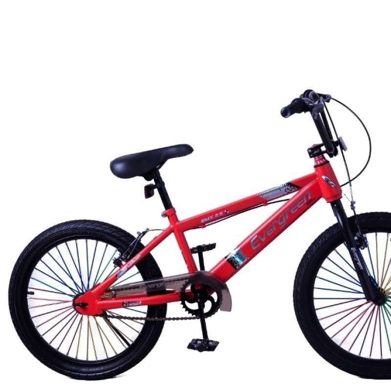 Promo Sepeda Bmx Evergreen Ukuran 20 Inch B1 /sepeda Bmx Anak - Biru ...