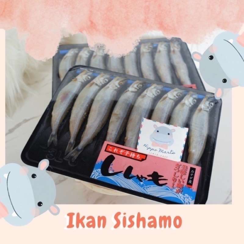 Jual Ikan Shisamo / Ikan Chapelin / Shisamo Fish Import Quality Japan ...