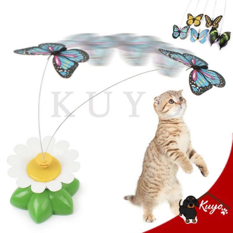 Jual Mainan Kucing Kupu Kupu Elektrik Putar Rotary Tangkap Interaktif ...