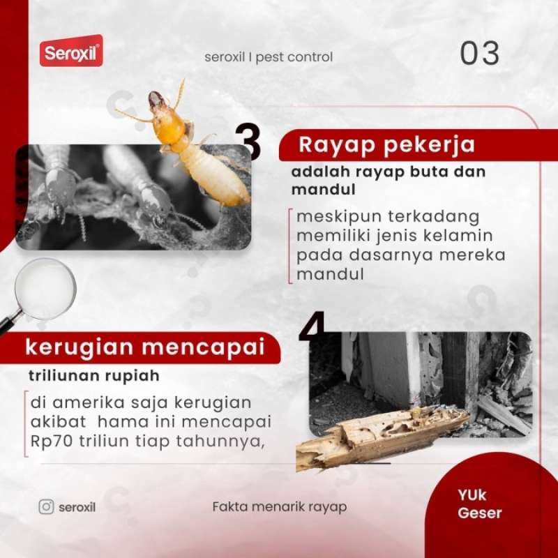 Promo Paket Obat Racun Anti Rayap Kayu Tanah Semprot Ampuh 1 Liter ...
