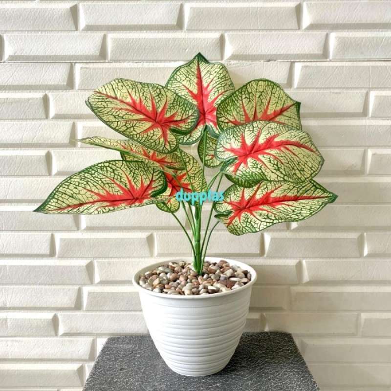 Promo Pohon Daun Sri Rejeki Artifisial Tanaman Plastik Hijau Merah Vas ...