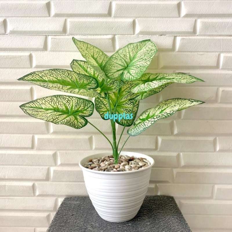 Promo Pohon Daun Sri Rejeki Artifisial Tanaman Plastik Hijau Merah Vas ...