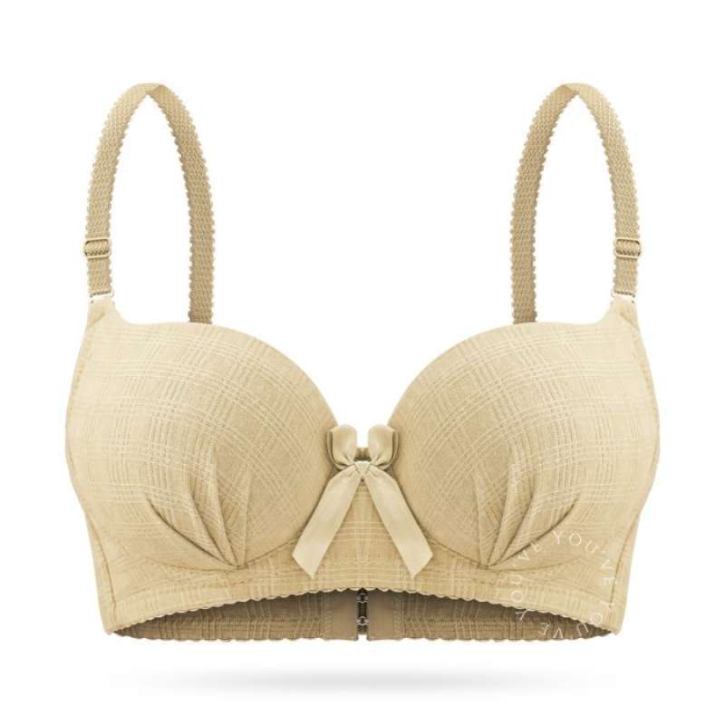Jual Bh Bra Wanita Busa Tebal Push Up Cup A B Kait 3 Kawat Beha 100194