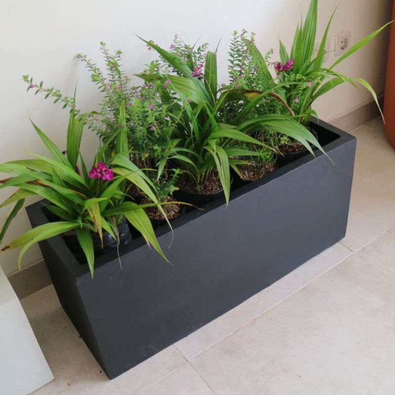 Jual Planter Box 💯 Harga Murah & Kualitas Terbaik Juni 2026