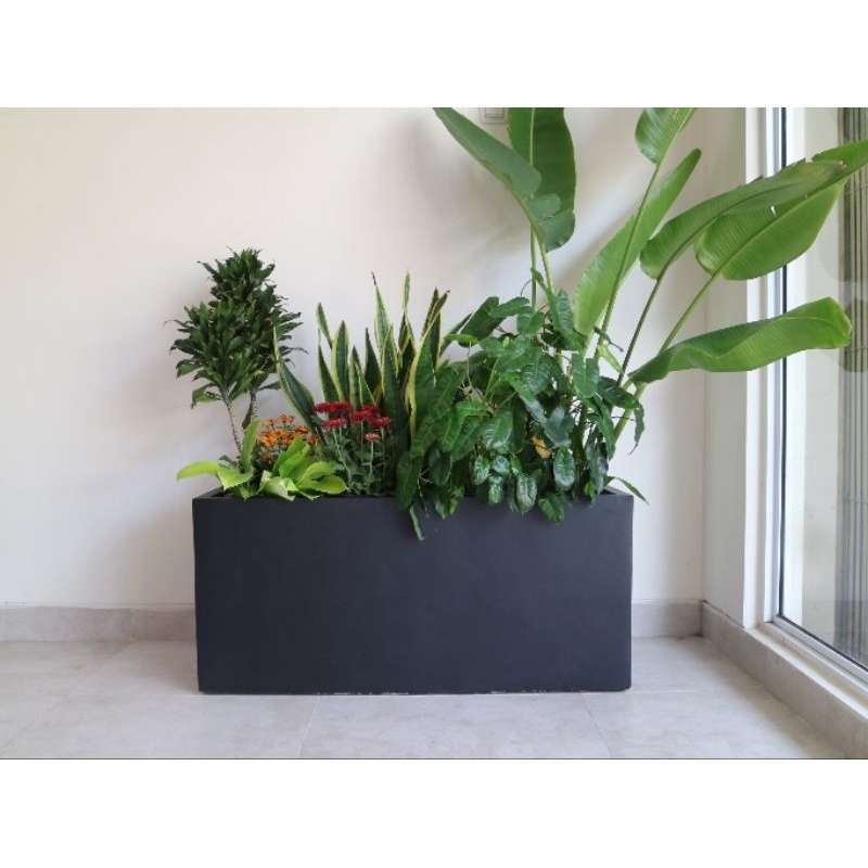 Jual Planter Box 💯 Harga Murah & Kualitas Terbaik Juni 2026