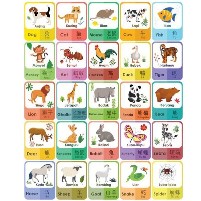 Jual 6 Set Flashcard / Flash Card Tiga Bahasa / Kartu Pintar Anak ...
