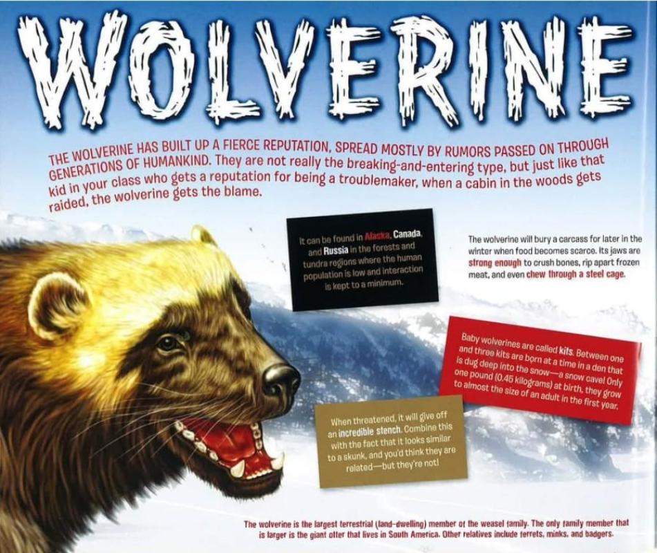 Jual Animal Facts Real Life Monsters Import Book Encyclopedia Di Seller ...