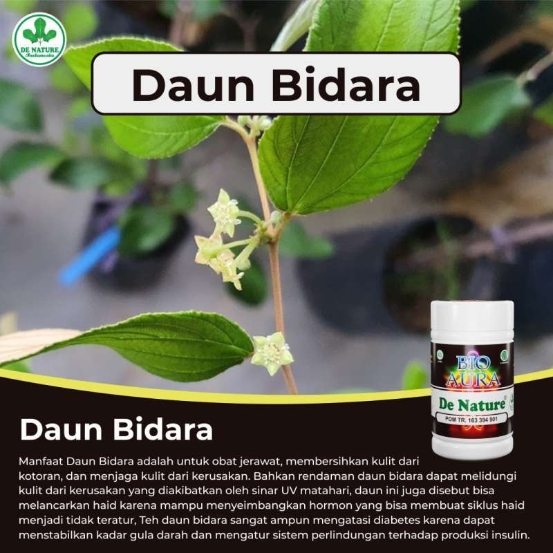 Jual Obat Tidur Lelap, Mengatasi Insomnia Berat, Sulit Tidur, Penenang ...