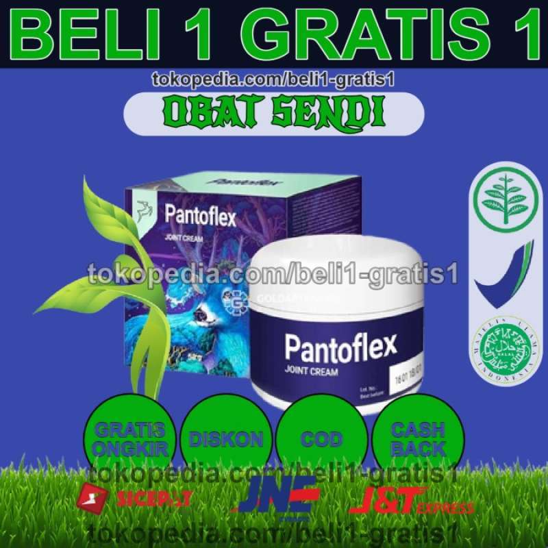 Promo [] Cream Nyeri Sendi Dan Tulang Otot Kaku - Pantoflex (100 G ...