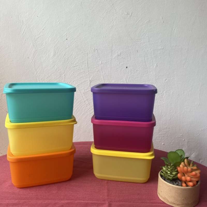 Jual Tempat Makan Tupperware Small Summer Fresh Harga Satuan Di Seller ...