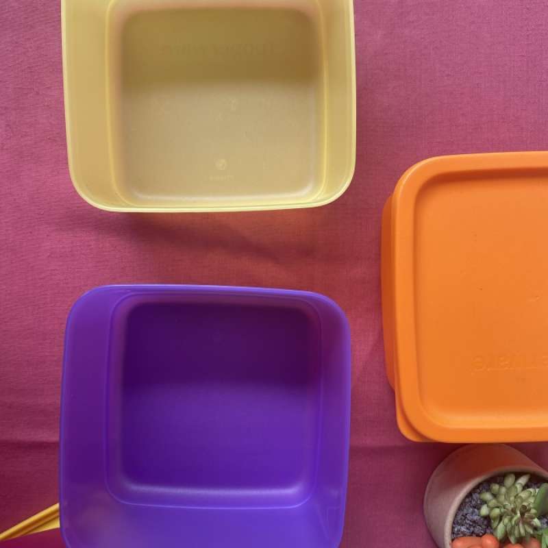 Jual Tempat Makan Tupperware Small Summer Fresh Harga Satuan Di Seller ...