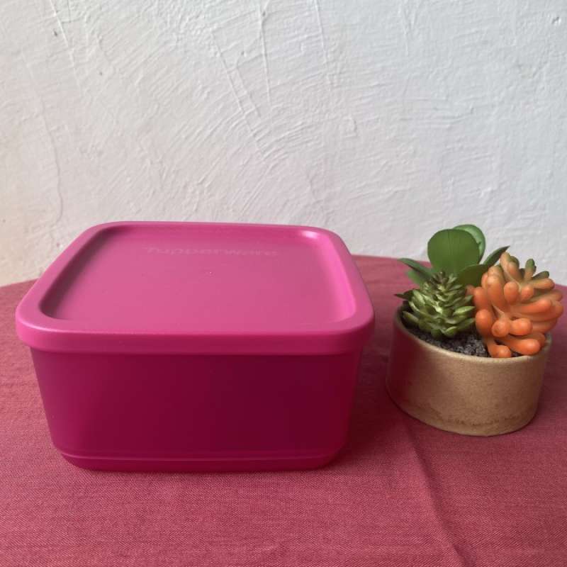Jual Tempat Makan Tupperware Small Summer Fresh Harga Satuan Di Seller ...