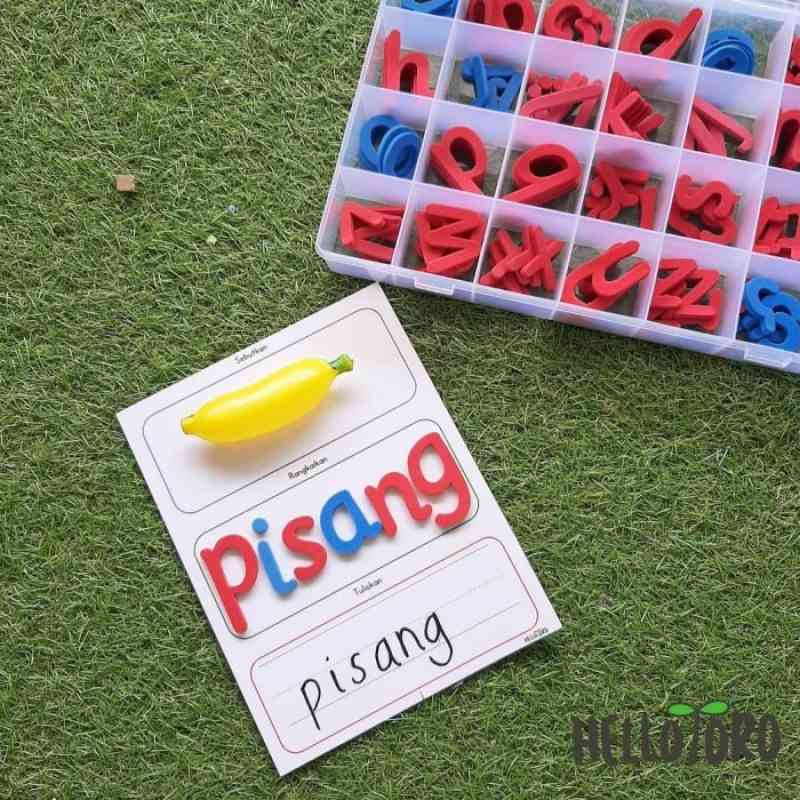 Wonder Of Nature Small Moveable Alphabet – Red Vowels – Blue Consonants ...