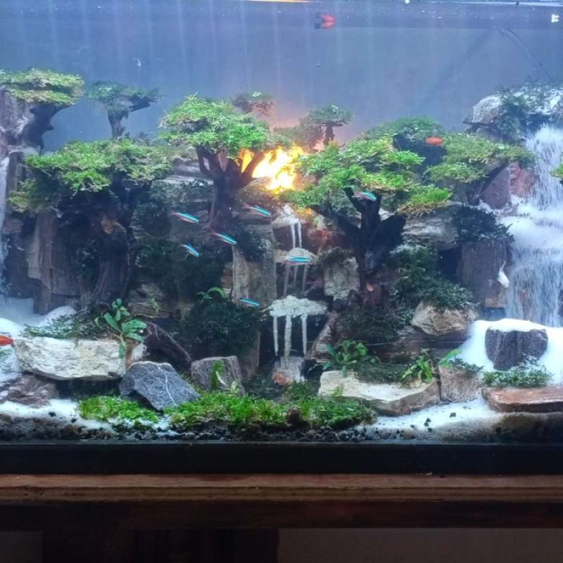 Promo Aquascape 60cm 2 Waterfall Diskon 26% Di Seller Indahh Permai ...