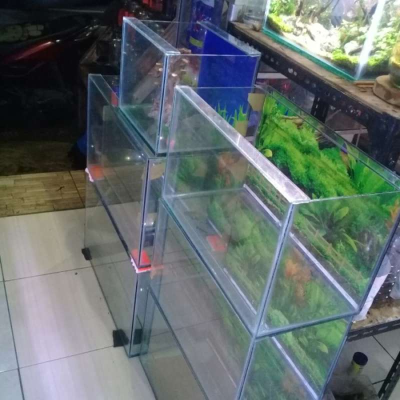 Promo akuarium/aquarium 60x30x35 Diskon 23% di Seller Indahh Permai - Kalibata, Kota Jakarta ...