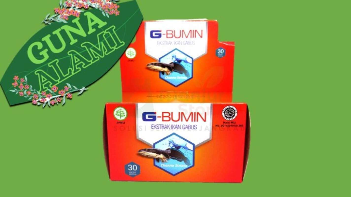 Jual Ekstrak Ikan Gabus 30 Kapsul Ikan Kutuk Kapsul Kutuk di Seller ...