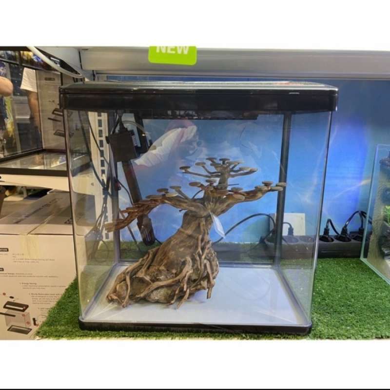 Promo AQUARIUM MINITANK BOYU FISHLAND AKUARIUM AIR LAUT Diskon 23% di Seller Laraji Store ...