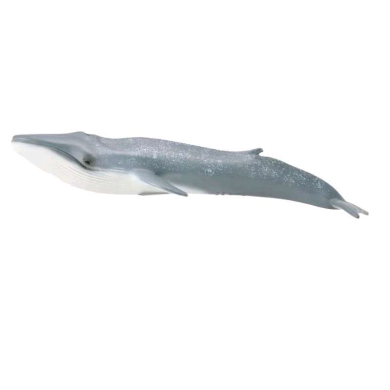 Jual Collecta Animal Figure Blue Whale (Paus Biru) Mainan Replika ...