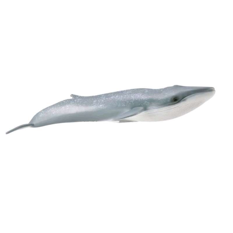 Jual Collecta Animal Figure Blue Whale (Paus Biru) Mainan Replika ...