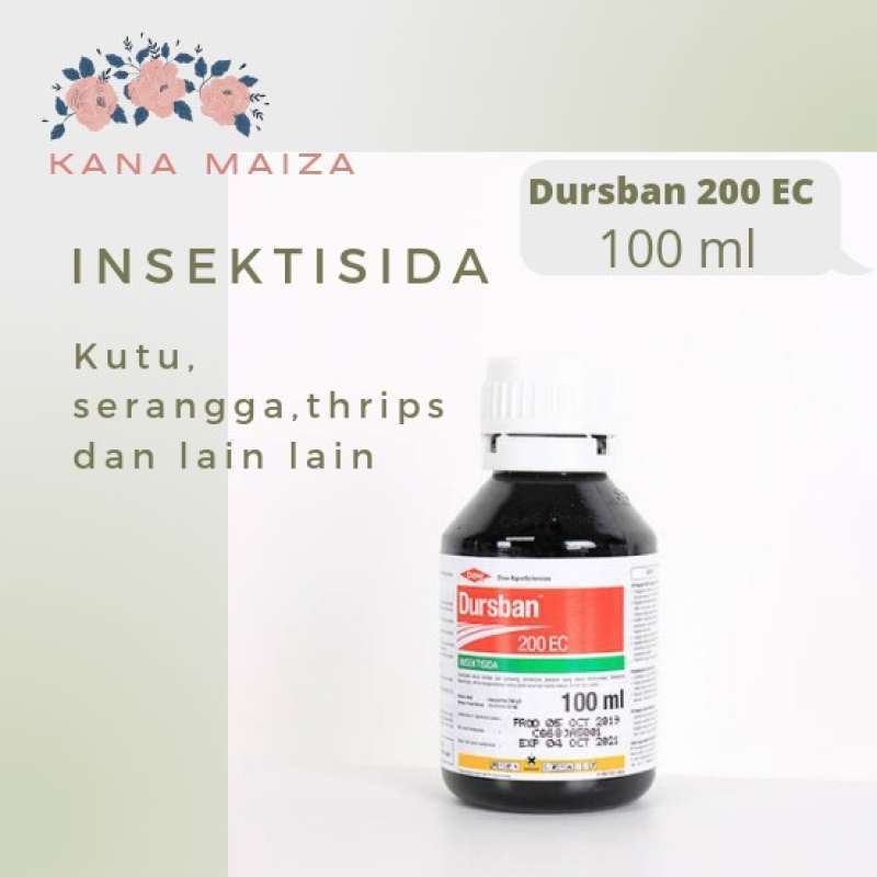 Jual Dursban 200 Ec - Insektisida Pembasmi Hama Tanaman - 100ml Di ...