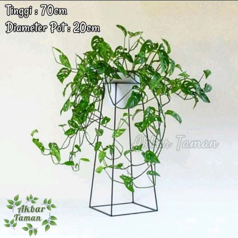 Promo Standing Besi / Standing Pot Besi / Standing Pot Alas Kaki Elegan ...