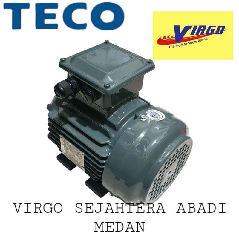 Jual TECO 1 HP 0.75KW DINAMO ELEKTRO MOTOR 3 PHASE 220 VOLT 2 POLE 2800 RPM AESV1S ORIGINAL TECO ...