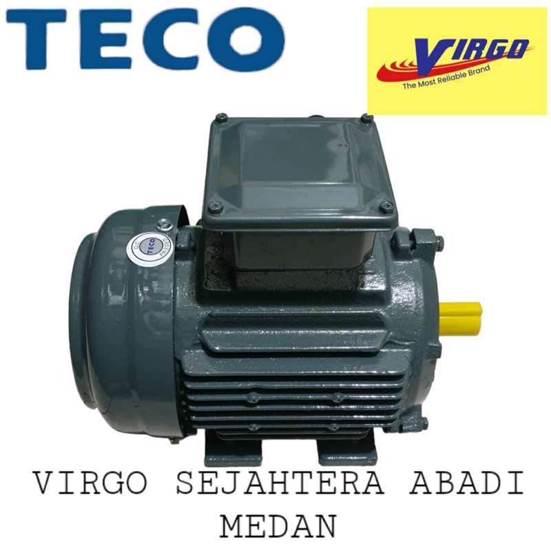 Jual Teco 1 Hp 0.75kw Dinamo Elektro Motor 3 Phase 220 Volt 2 Pole 2800 ...