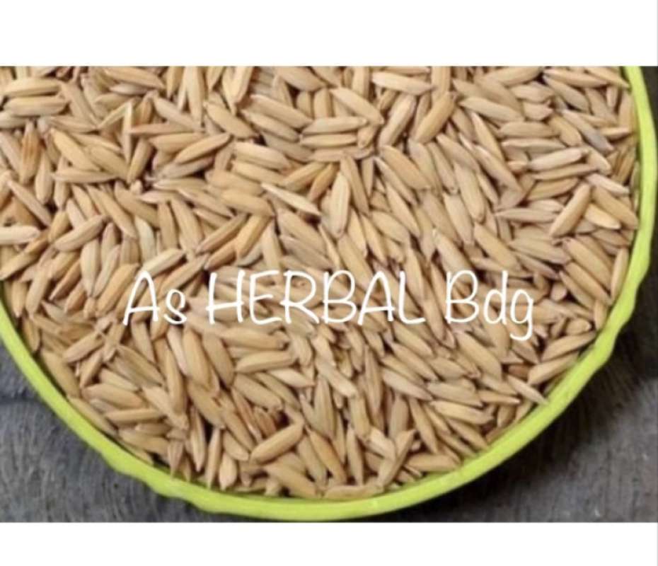 Jual Benih padi lokal super benih padi jenis walen 1 kg di Seller ...