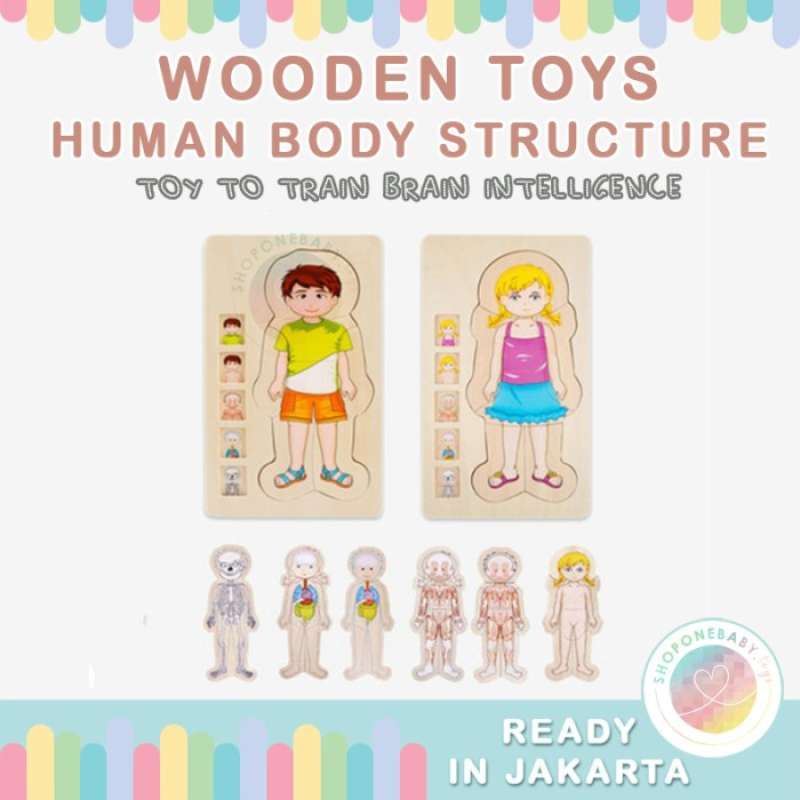 Promo JKT Human Body Structure Puzzle Wooden Toy Mainan Edukatif ...