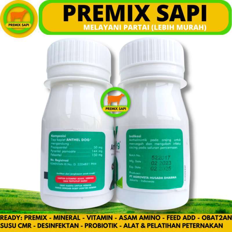 Promo ANTHEL DOG 30 tablet (KEMASAN BOTOL) - Obat cacing anjing like ...