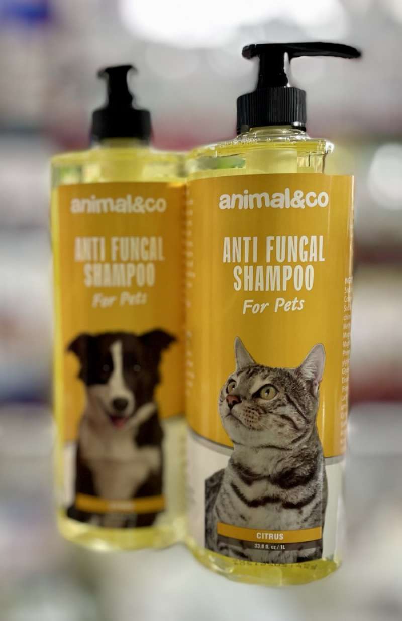 Promo Animal & Co Anti Fungal Shampoo for pets 1l Diskon 23% di Seller ...