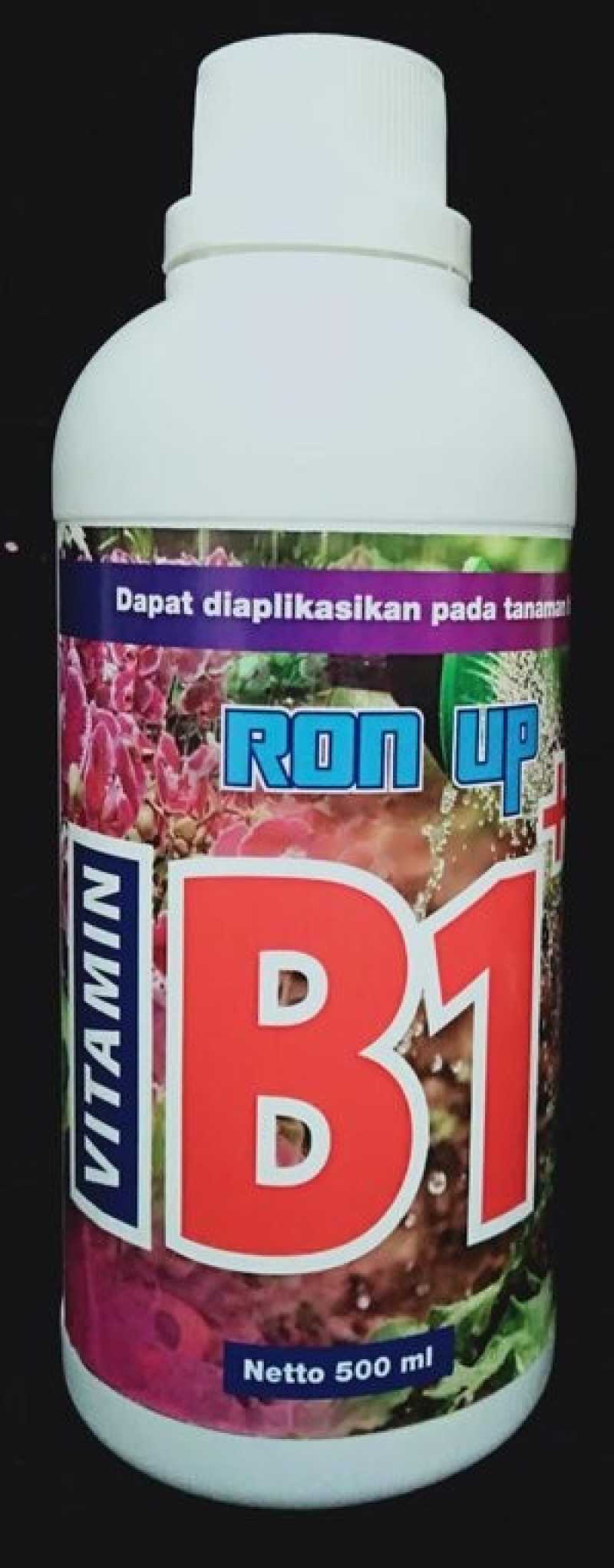 Promo Vitamin B1+ 500ml Diskon 33% di Seller HENDRIJAYA - Cipulir, Kota Jakarta Selatan | Blibli