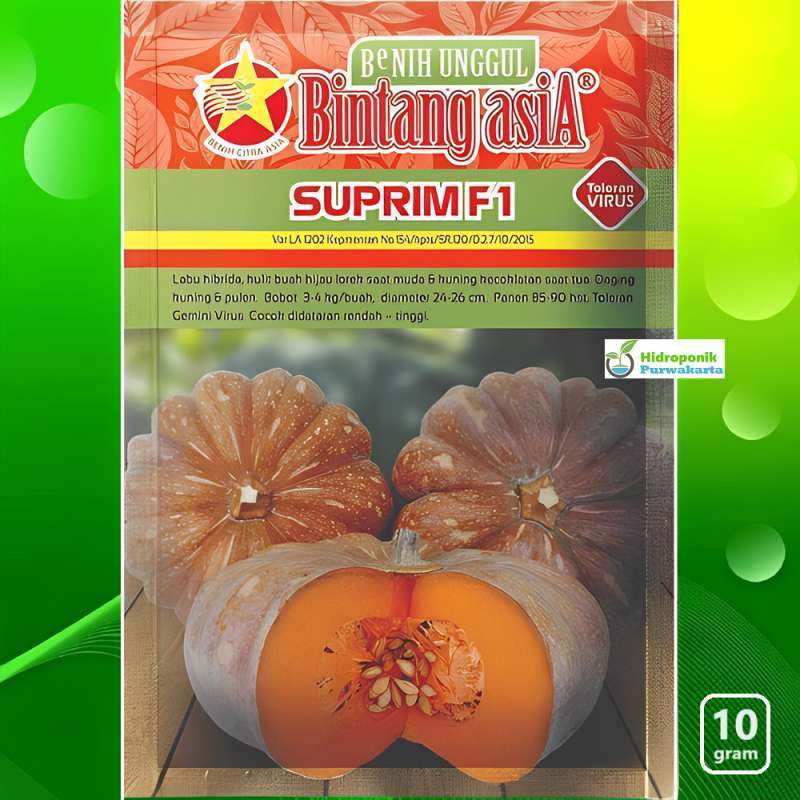 Jual Benih Labu Hibrida SUPRIM F1 Isi 10 Gram Cap Bintang Asia PT Benih ...