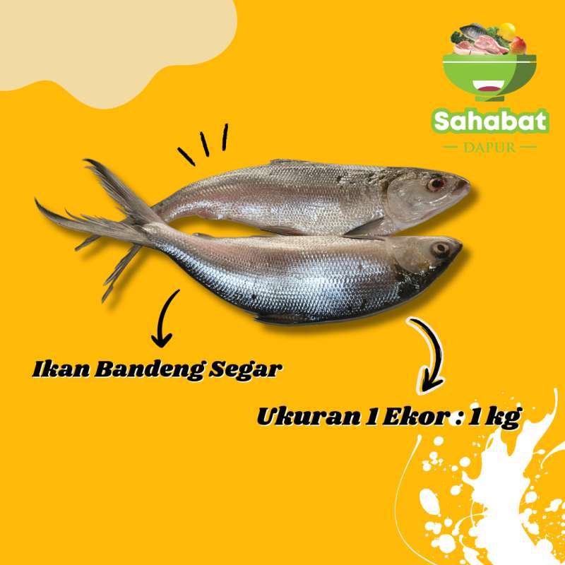 Jual Ikan Bandeng Besar Segar 1 Kg - Sahabatdapur di Seller ...