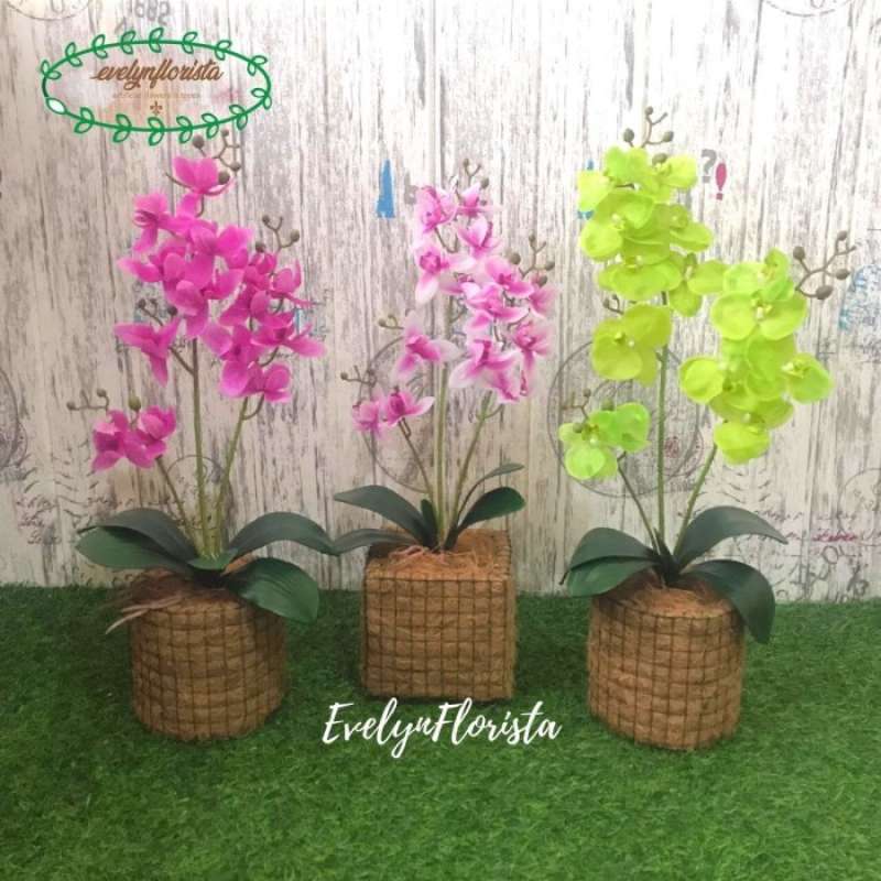 Promo New Bunga Anggrek Latex Artificial Vas Sabut Tanaman Pajangan ...