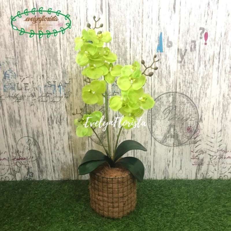 Promo New Bunga Anggrek Latex Artificial Vas Sabut Tanaman Pajangan ...