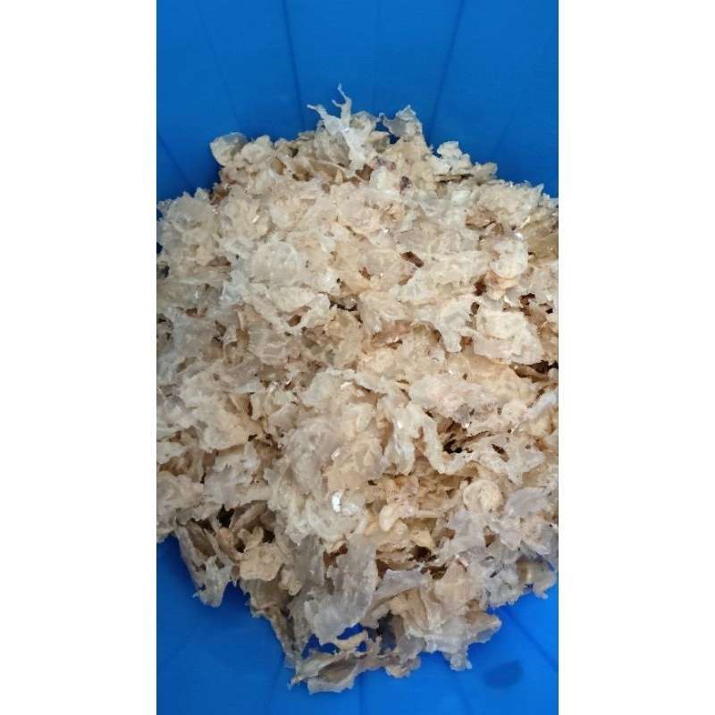 Jual Hipio/hyupio/perut Ikan/gelembung Ikan Di Seller Sjo Seafood ...