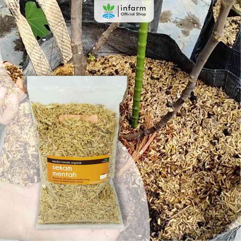 Jual Infarm Sekam Padi 5 Liter Free Peralatan Berkebun Label Tanam Di ...