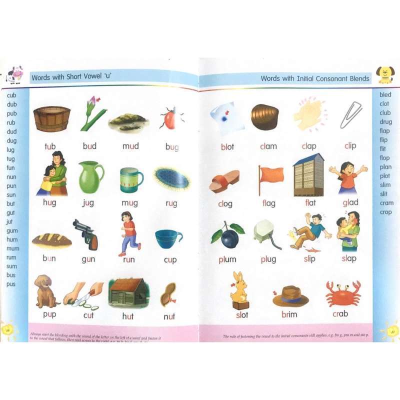 Jual Penerbit Pelangi Phonics Picture Dictionary – Ultimate Learning ...